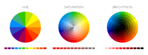 Seeing in Color: A Photographer's Guide to Color Theory