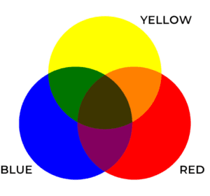Seeing in Color: A Photographer's Guide to Color Theory