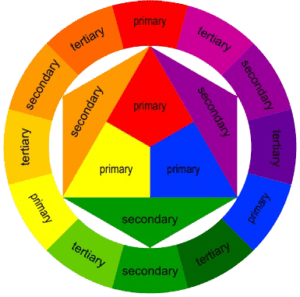 Seeing in Color: A Photographer's Guide to Color Theory