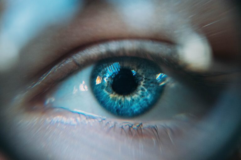 Seeing in Color: A Photographer's Guide to Color Theory