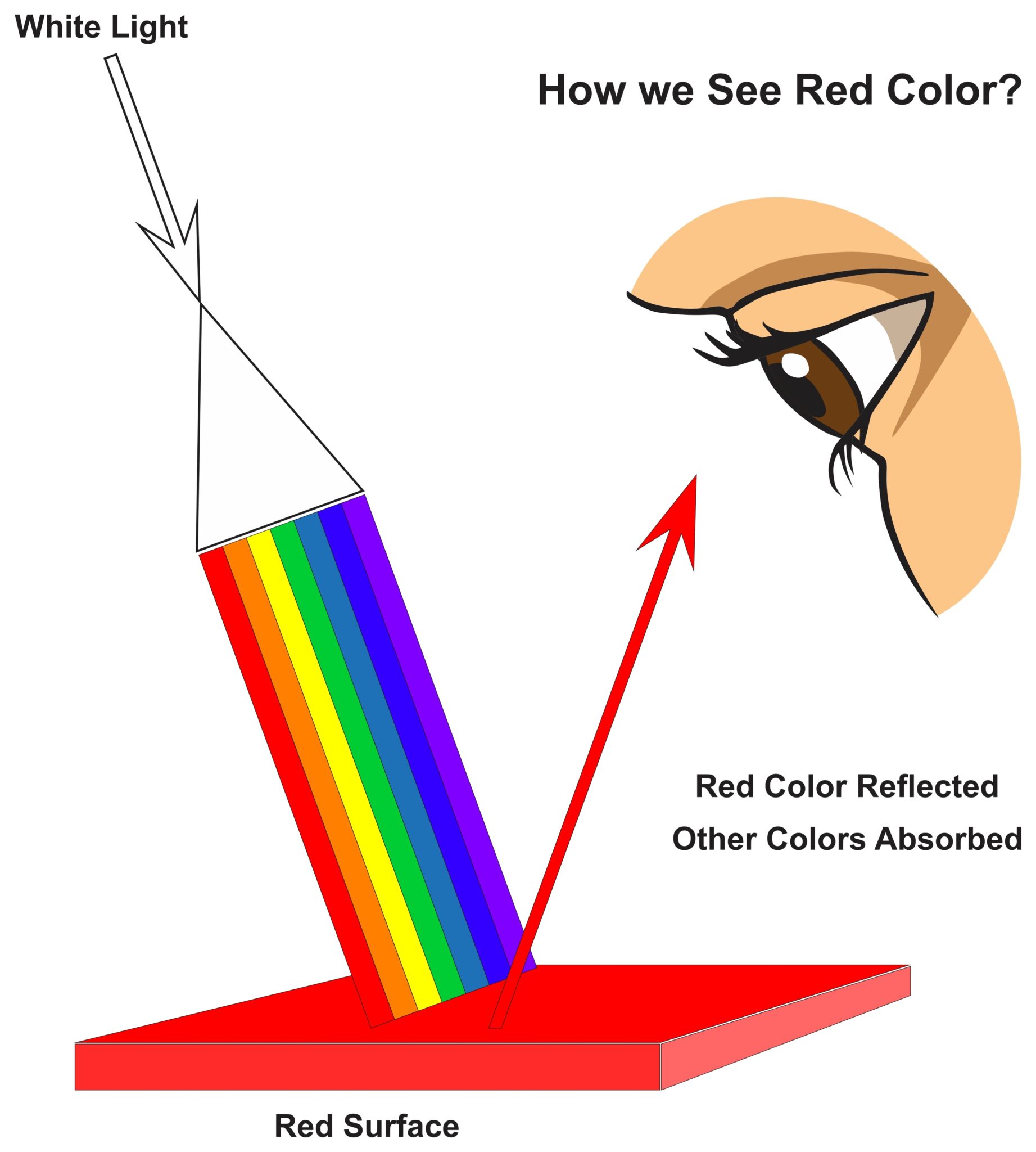 Seeing in Color: A Photographer's Guide to Color Theory