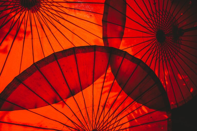 Seeing in Color: A Photographer's Guide to Color Theory