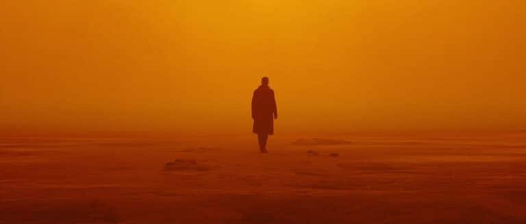 The Power of the Wide Shot in Filmmaking - Artistic Hive