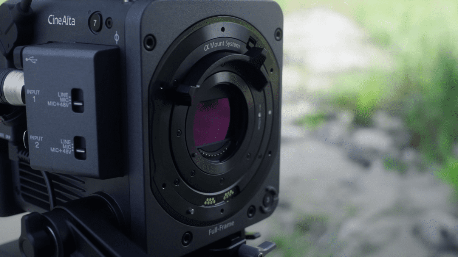 A Comprehensive Sony Burano Review: Is It Worth The Hype? - Artistic Hive