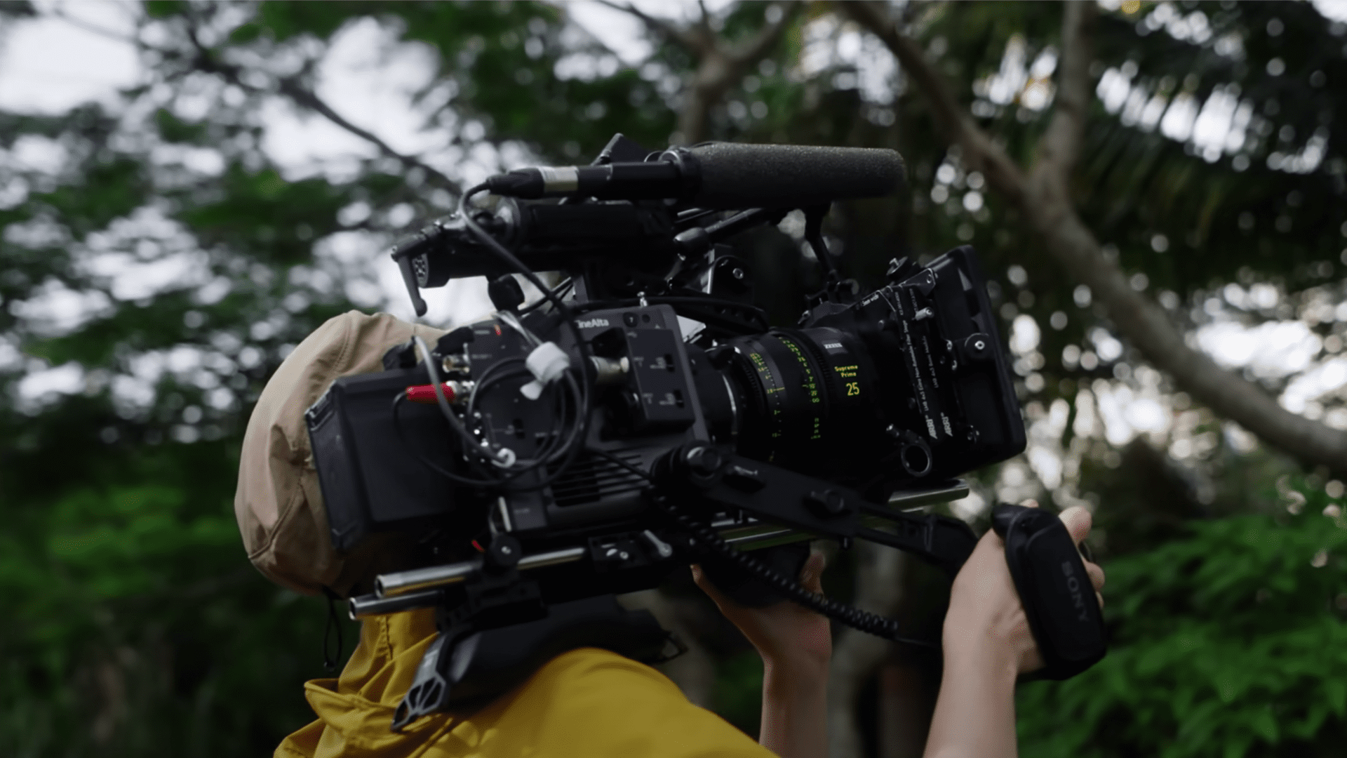 A Comprehensive Sony Burano Review: Is It Worth The Hype? - Artistic Hive