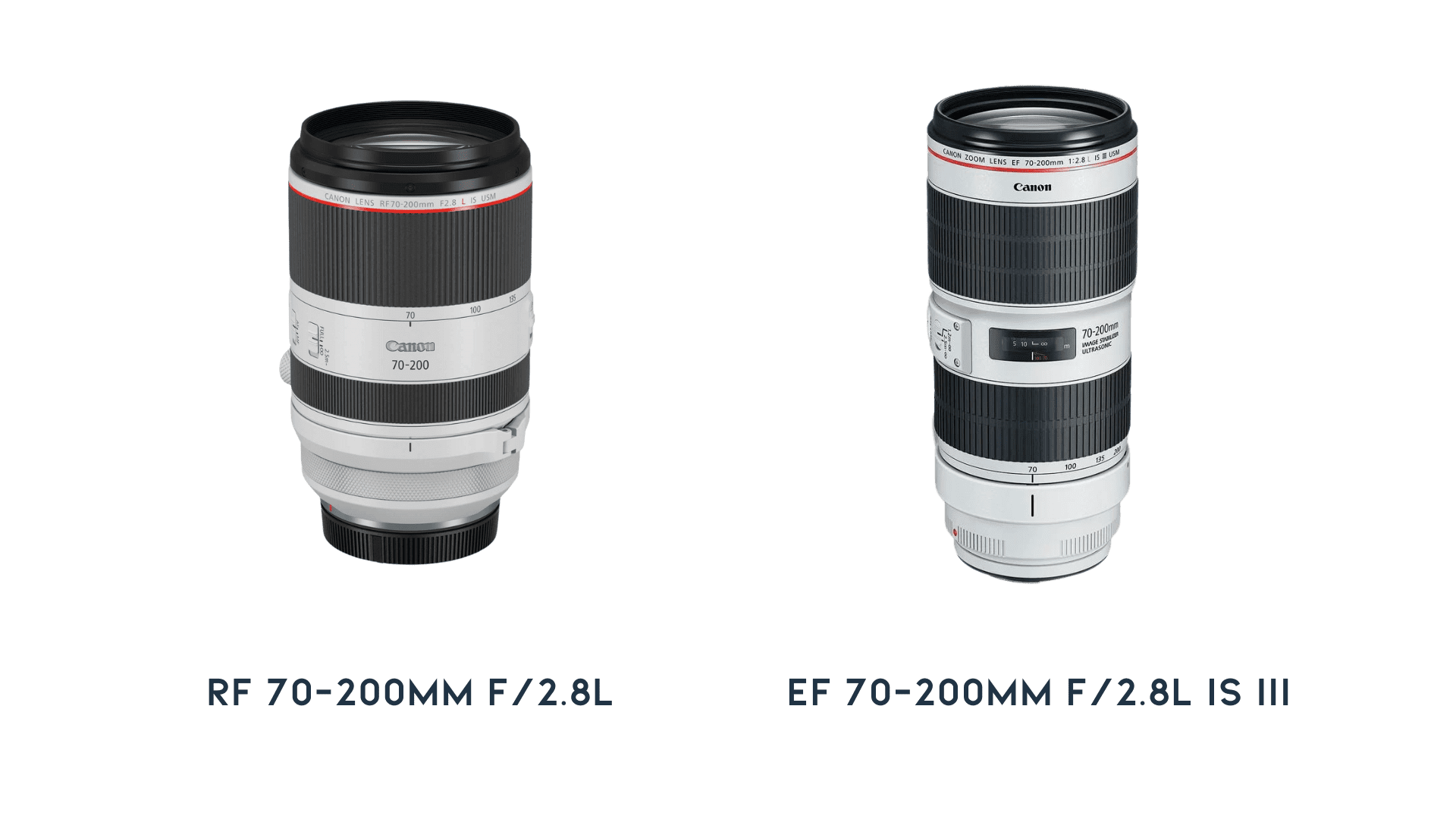 EF vs RF Lens: Canon's Lens Mounts Head to Head - Artistic Hive