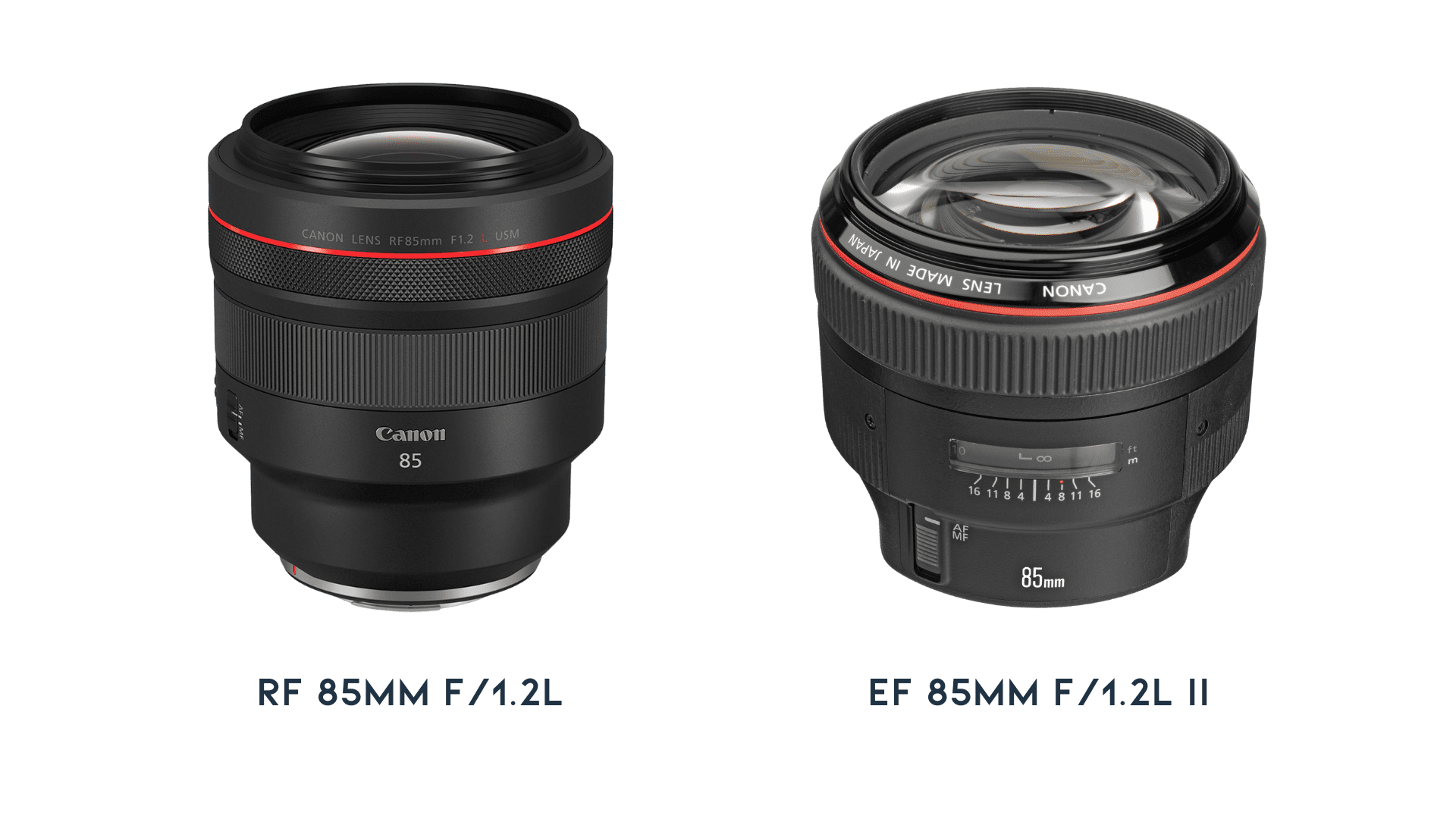 EF vs RF Lens: Canon's Lens Mounts Head to Head - Artistic Hive