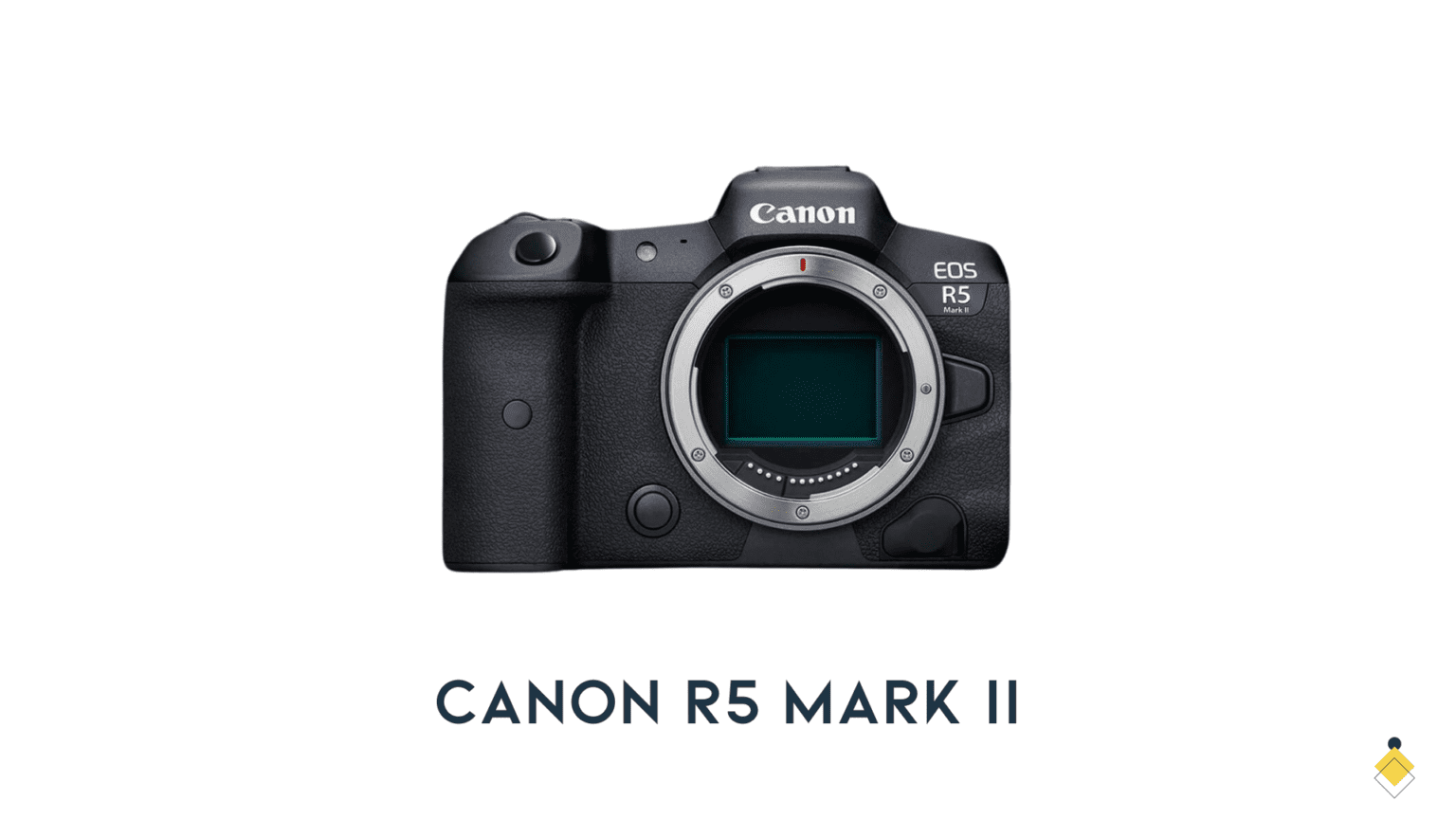 Canon R5 Mark II: The Camera Every Professional Photographer Needs! - Artistic Hive