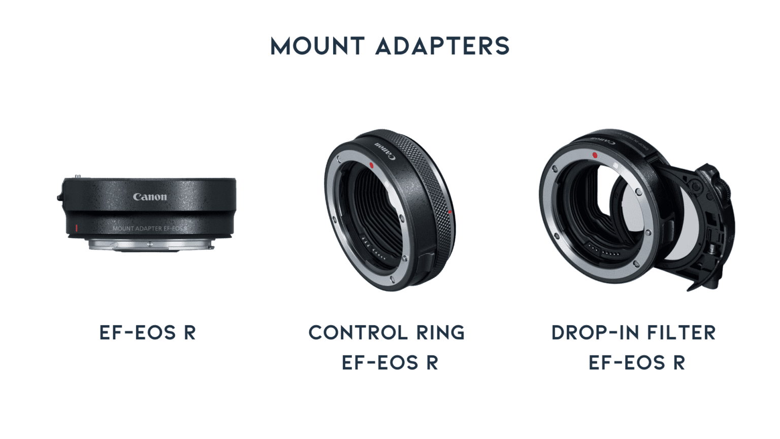 EF vs RF Lens: Canon's Lens Mounts Head to Head - Artistic Hive