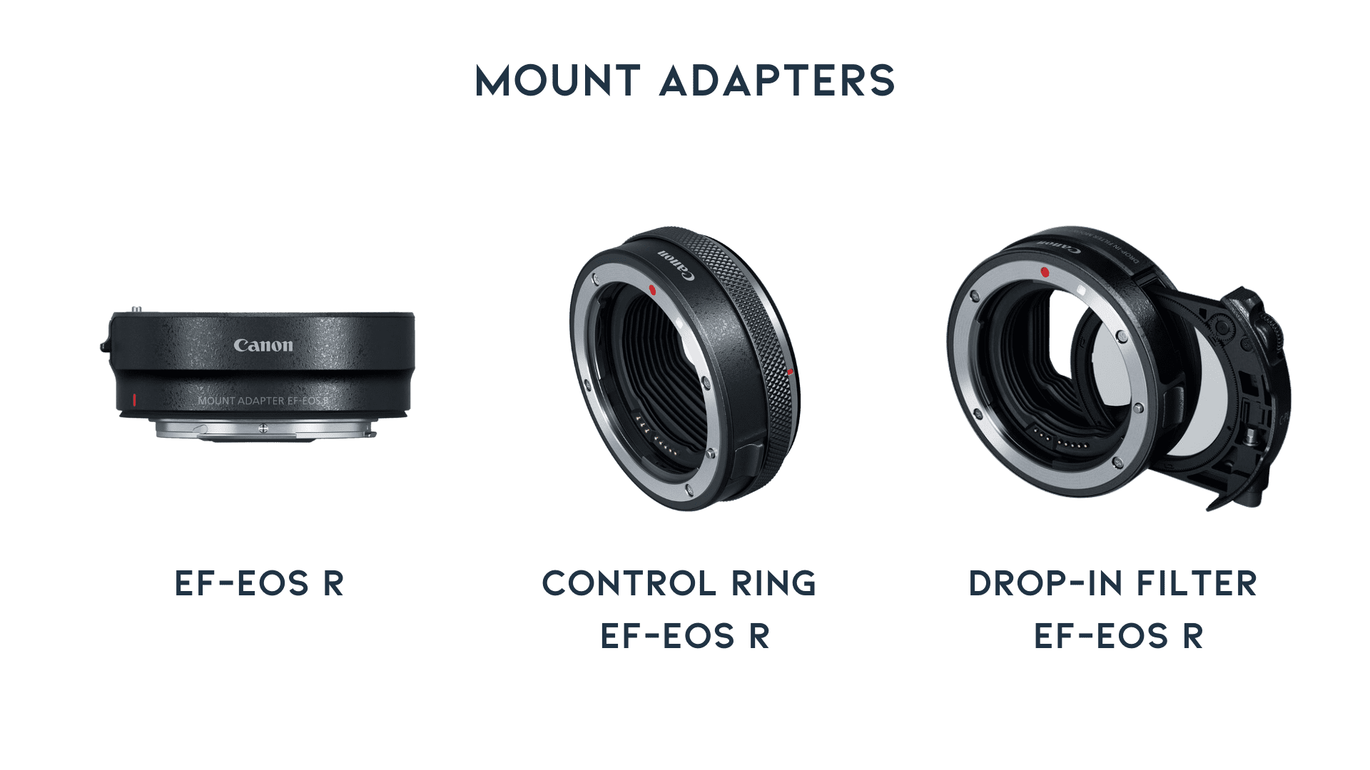 EF vs RF Lens: Canon's Lens Mounts Head to Head - Artistic Hive